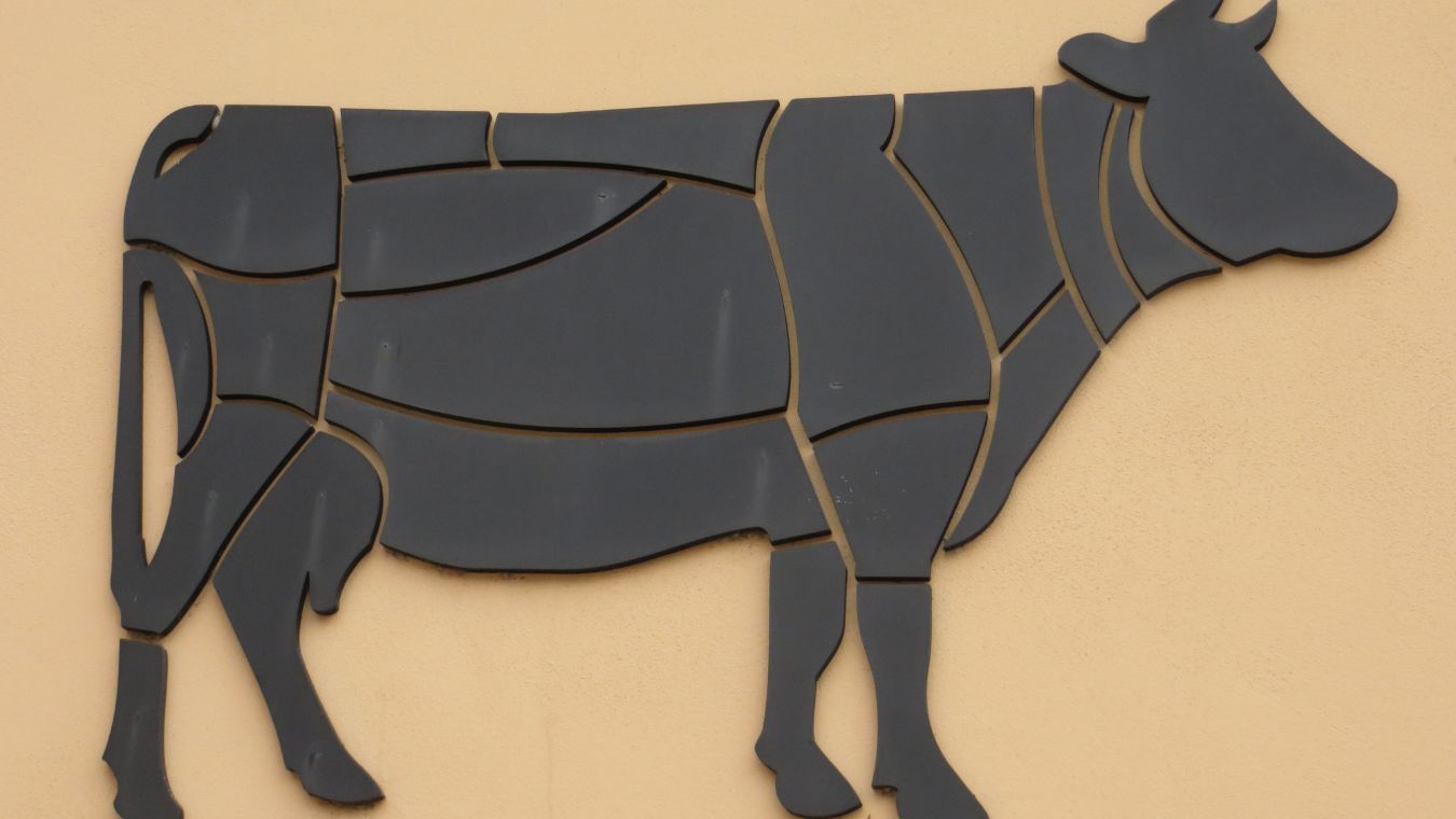 Cortes de carne de padrão no Brasil - Fabiane Silverio